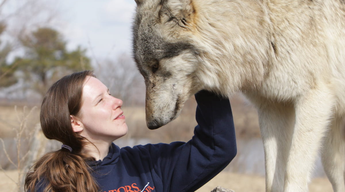 Become an Exotic Animal Trainer Online | Animal Behavior Institute